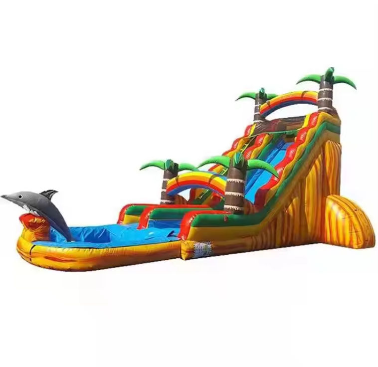 Dolphin Water Slide Backyards Summer Water Playground toboggán ...
